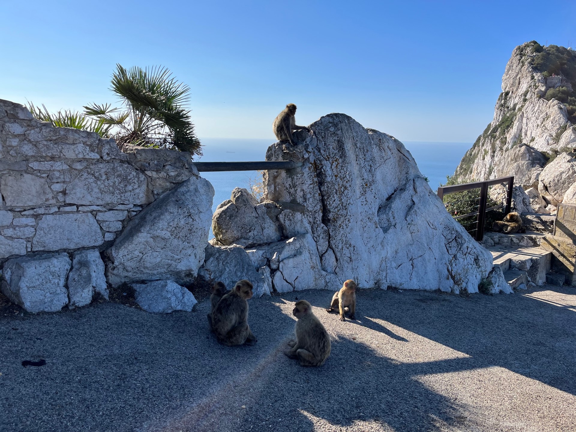 Life in Gibraltar – Valent